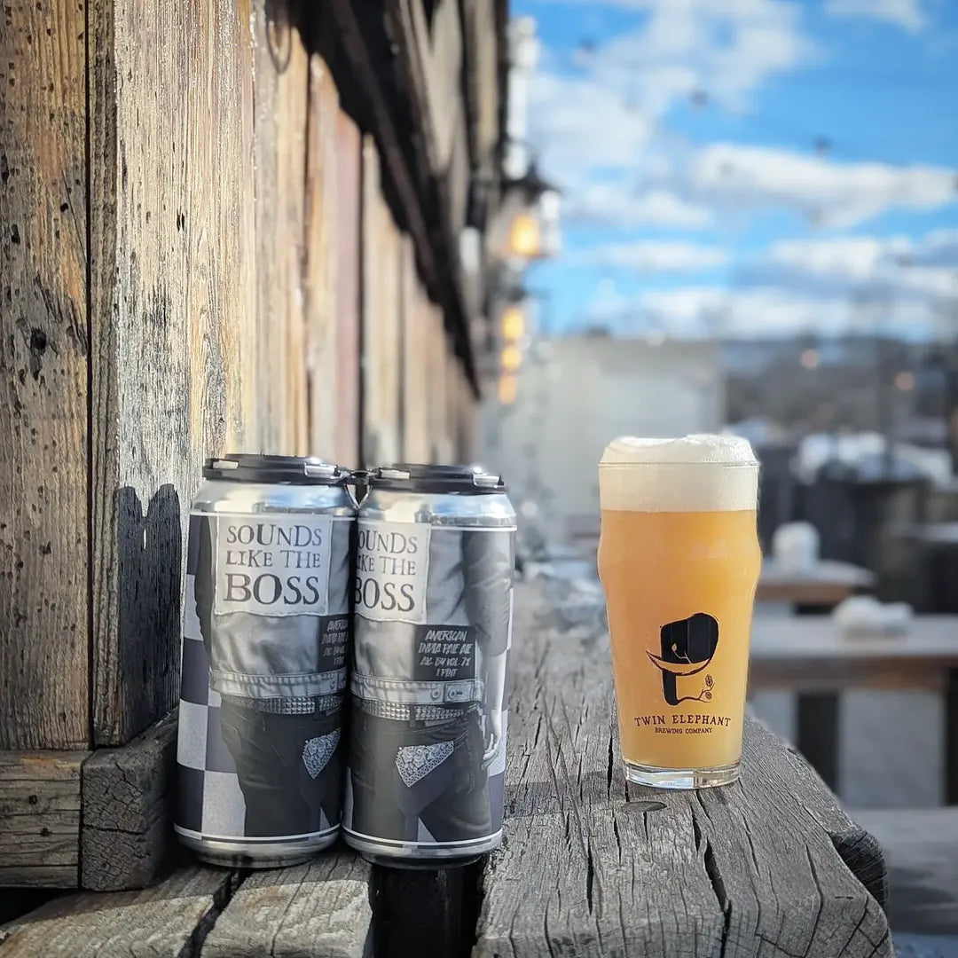 SOUNDS LIKE THE BOSS | American IPA | 7% – Twin Elephant Brewing Company