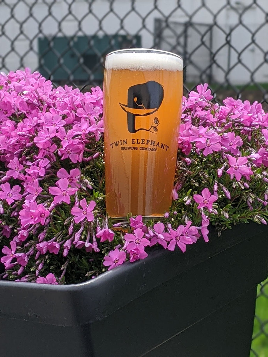 Honey Knuckles - 64 oz. Growler & Fill – Twin Elephant Brewing Company