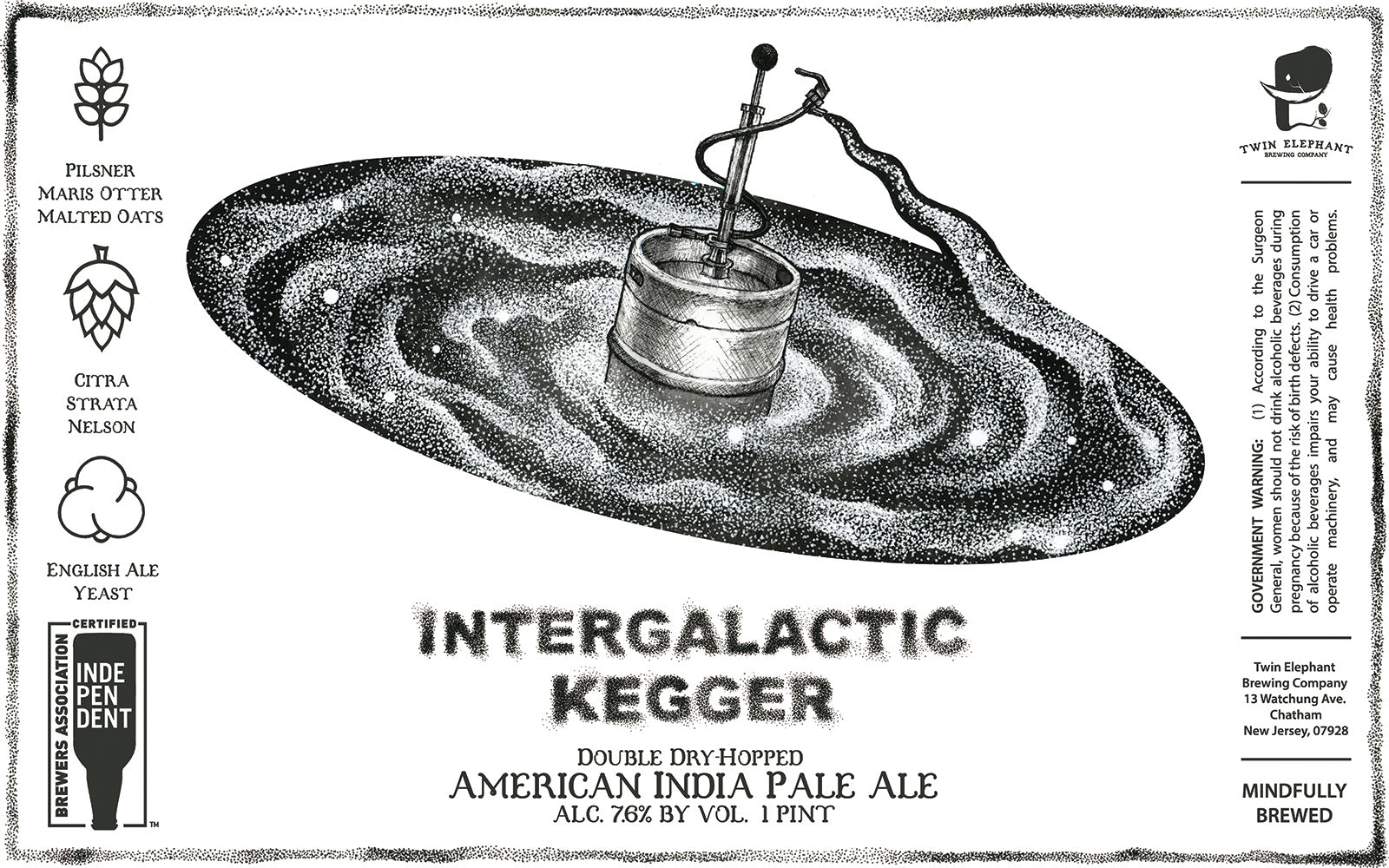 Intergalactic Kegger - Four Pack – Twin Elephant Brewing Company