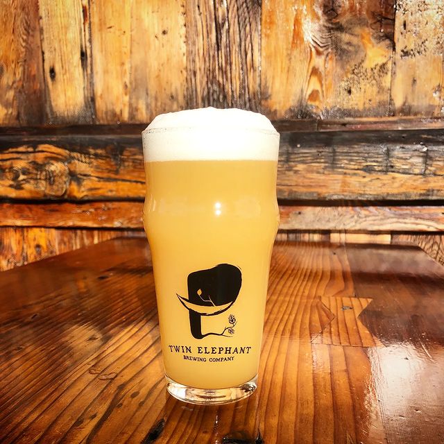 SEVEN | American IPA | 7.3% – Twin Elephant Brewing Company